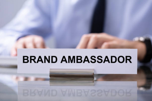 The Definition, Functions and Qualities Of A Brand Ambassador - Is It Vivid